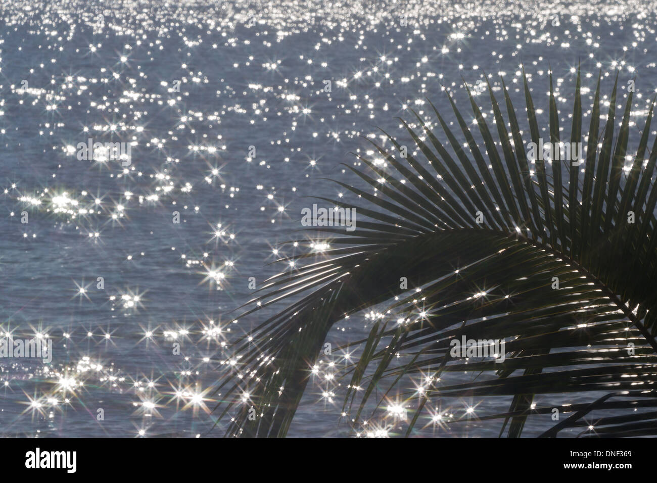 sun sparkles reflecting on the tropical water of the Belize Beach Stock ...