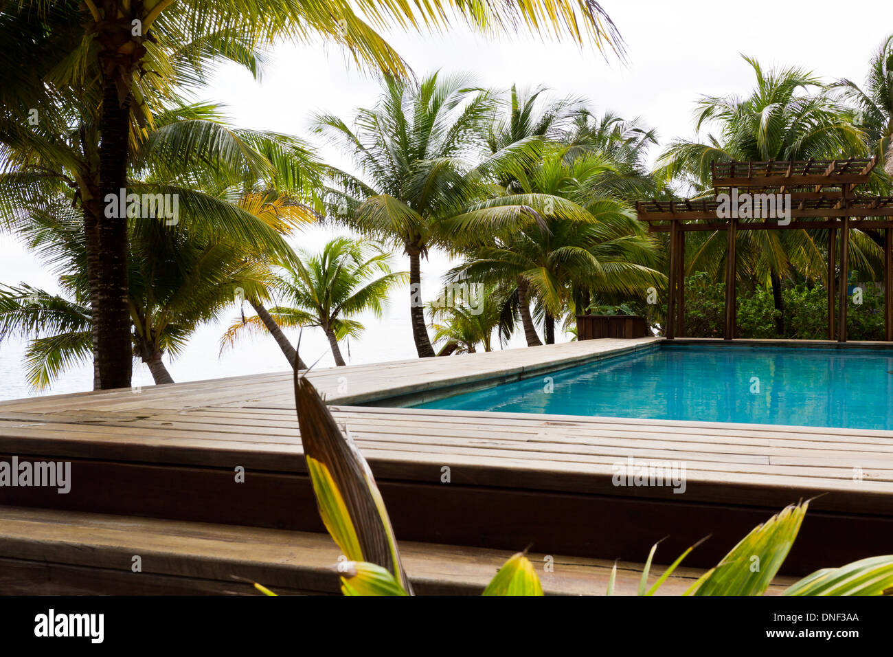 beautiful tropical swimming pool in the coast of Belize Stock Photo - Alamy