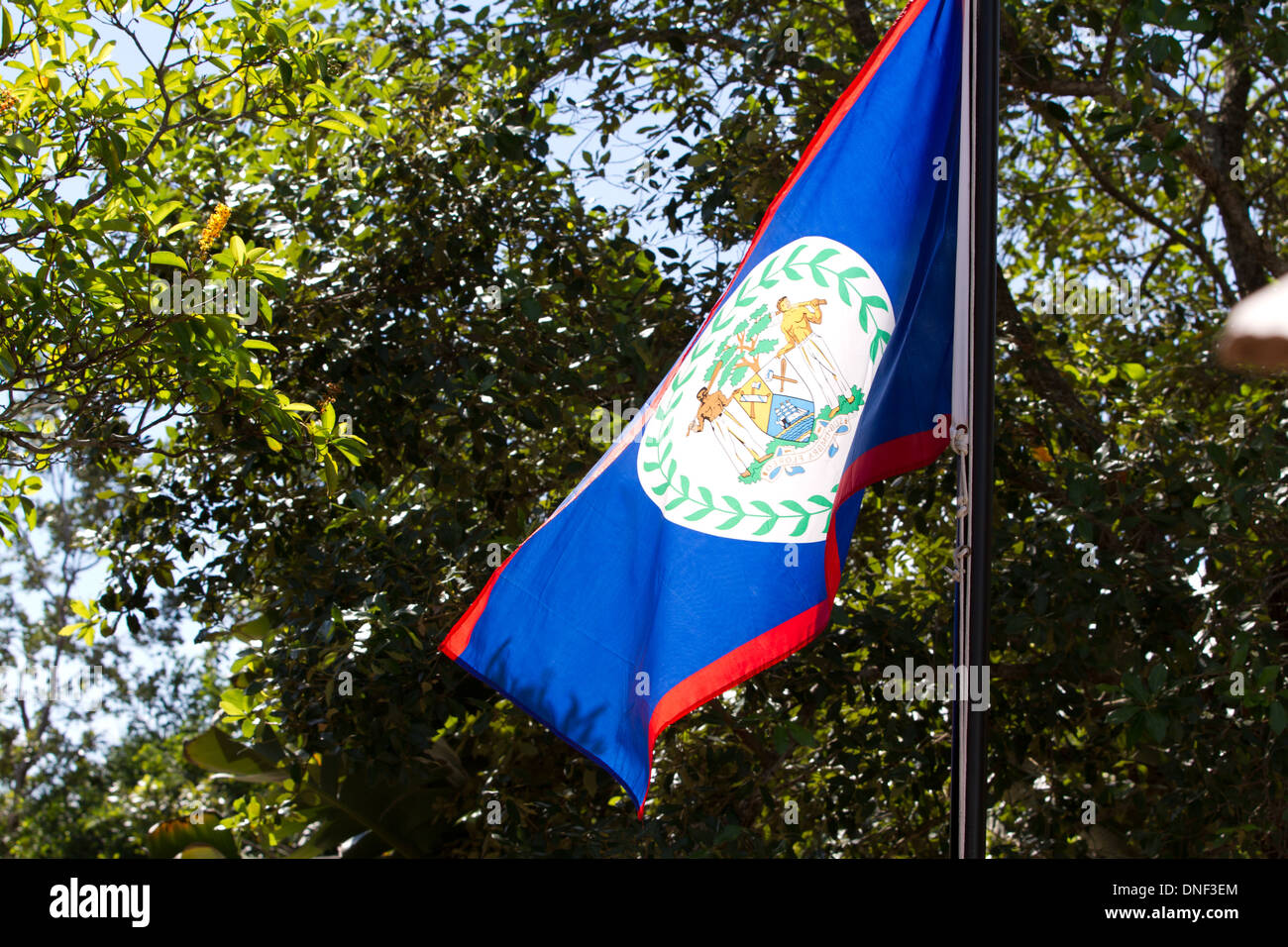 Green flag rescue hi-res stock photography and images - Alamy