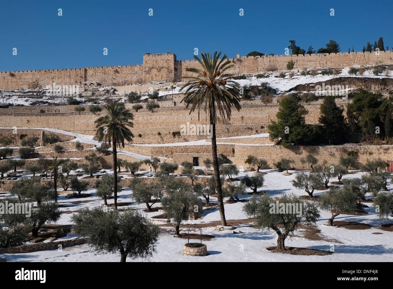 Wadi nar hi-res stock photography and images - Alamy