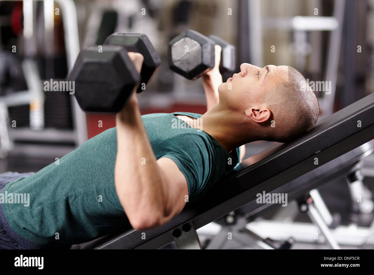 Athletic young man laid on back working his chest with heavy dumbbells ...