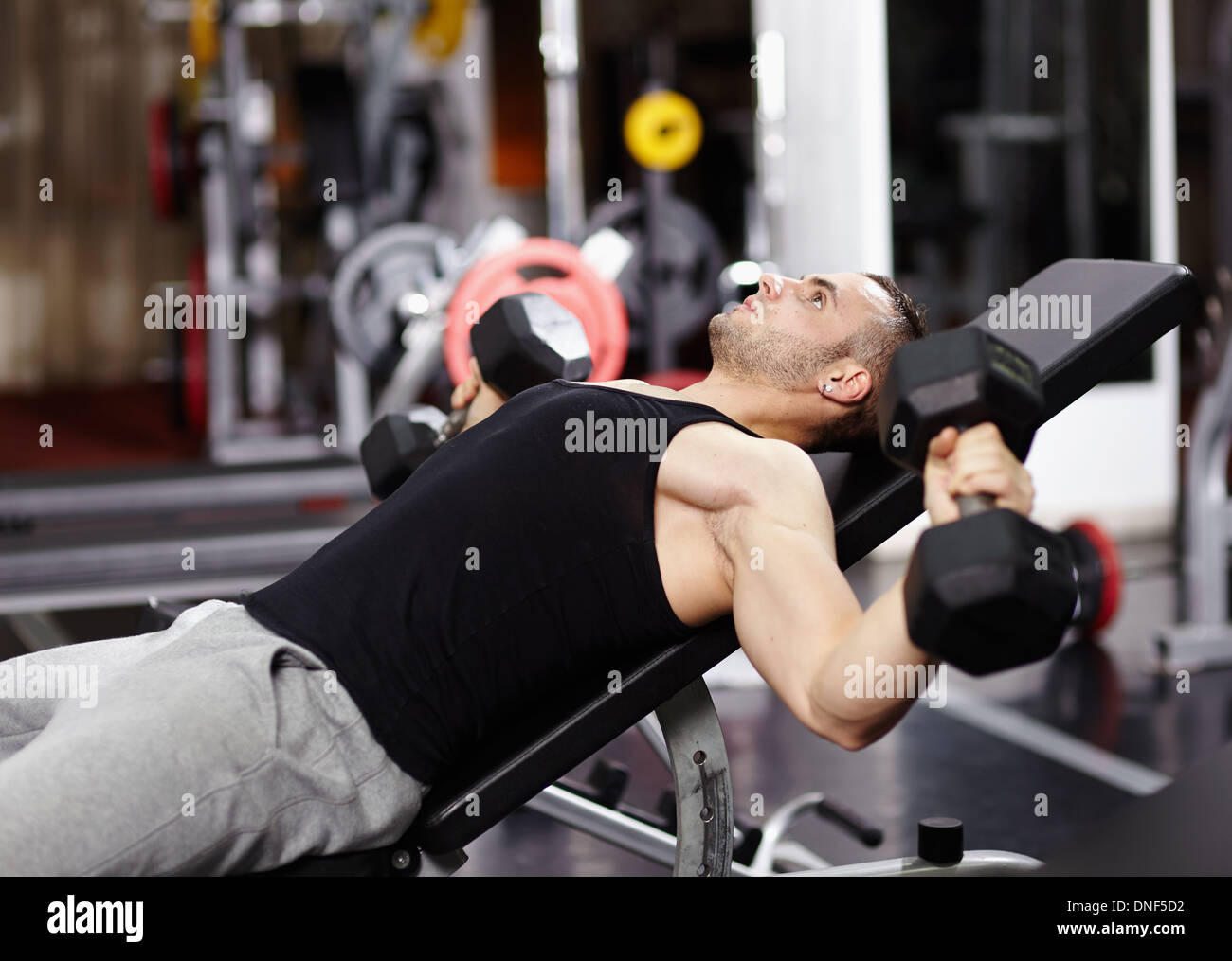 Athletic young man laid on back working his chest with heavy dumbbells ...