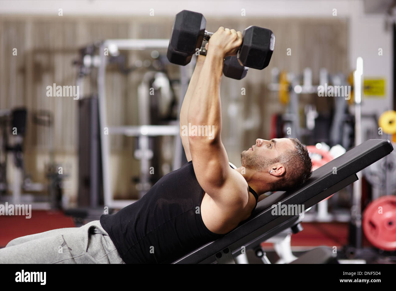 Athletic young man laid on back working his chest with heavy dumbbells ...