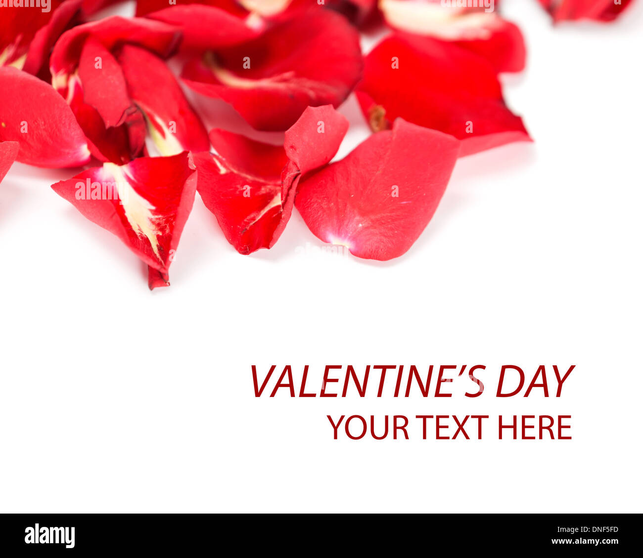Roses red perfect symbol hi-res stock photography and images - Alamy