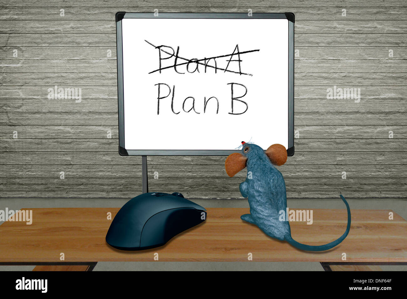 Rat watching Computer Screen with mouse, Concept Stock Photo - Alamy