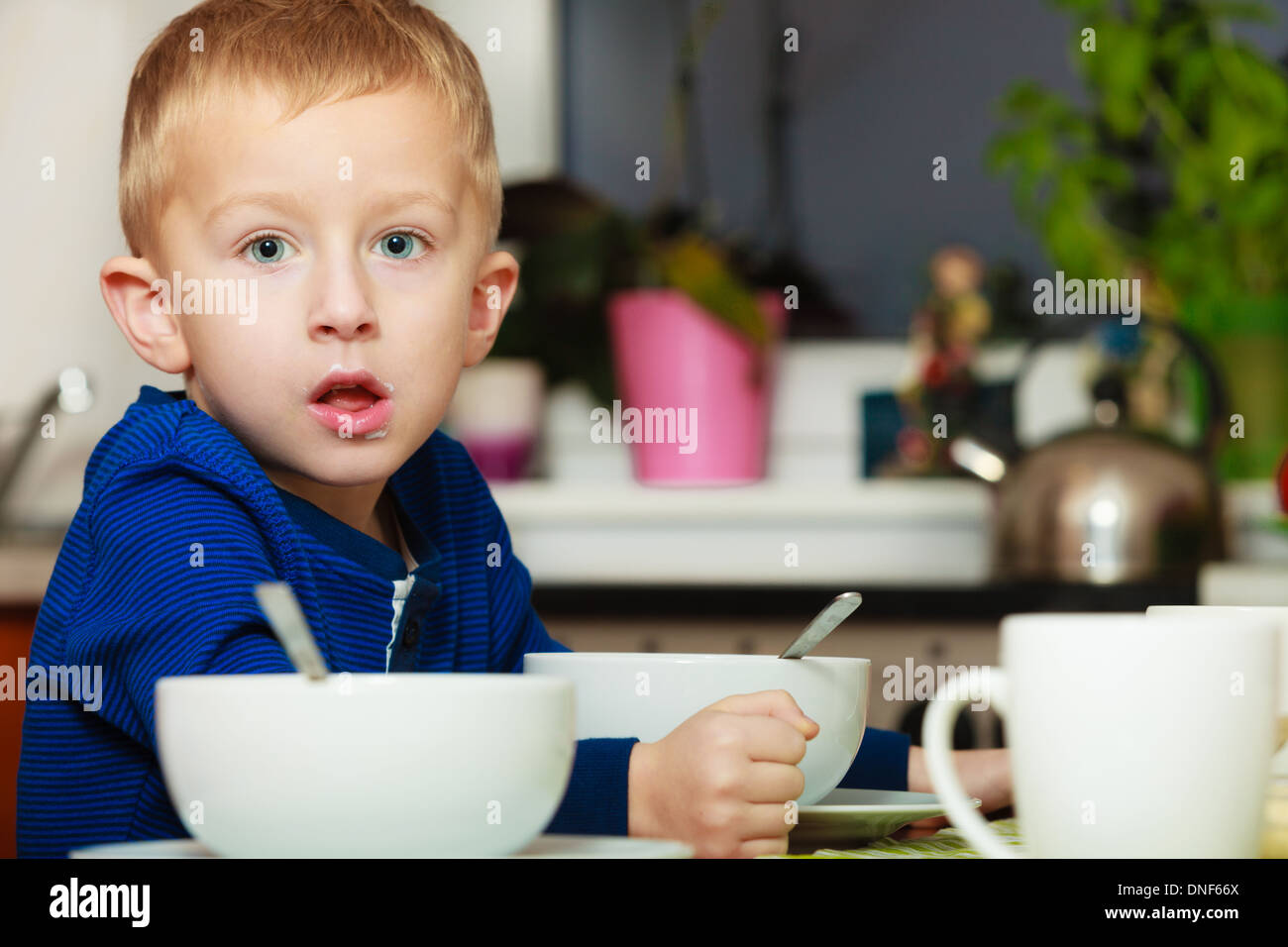 Blond boy kid child eating corn flakes breakfast morning meal at the ...