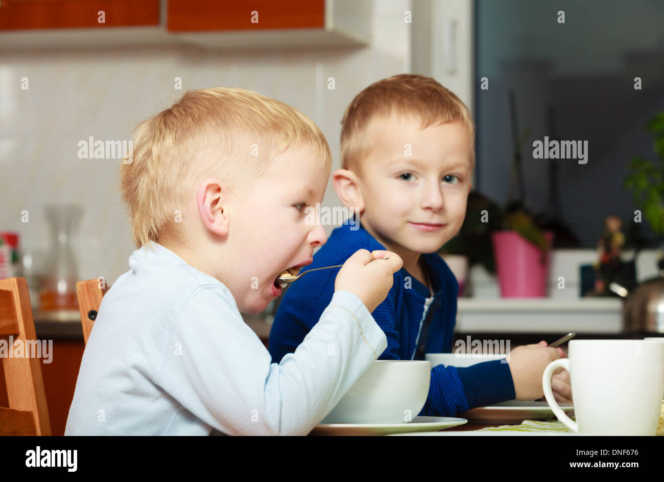 Two blond brothers boys kids children eating corn flakes breakfast ...