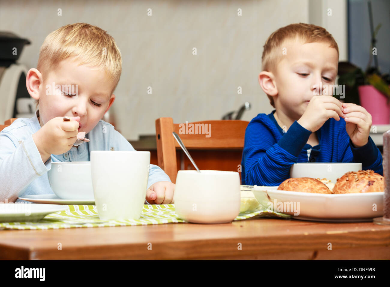 Two blond brothers boys kids children eating corn flakes breakfast ...