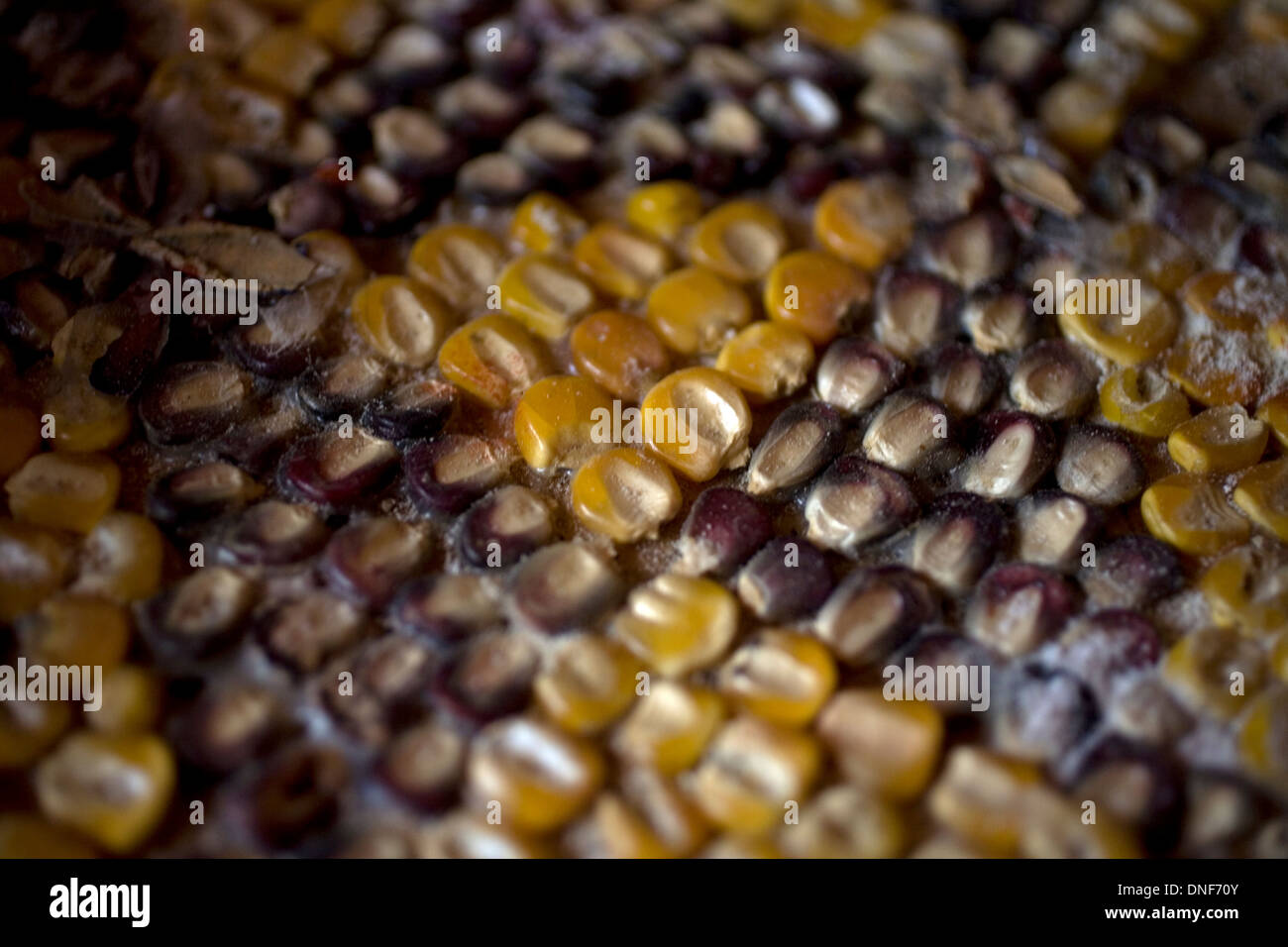 Pre-Hispanic geometric patterns made of corn seeds, San Martin ...