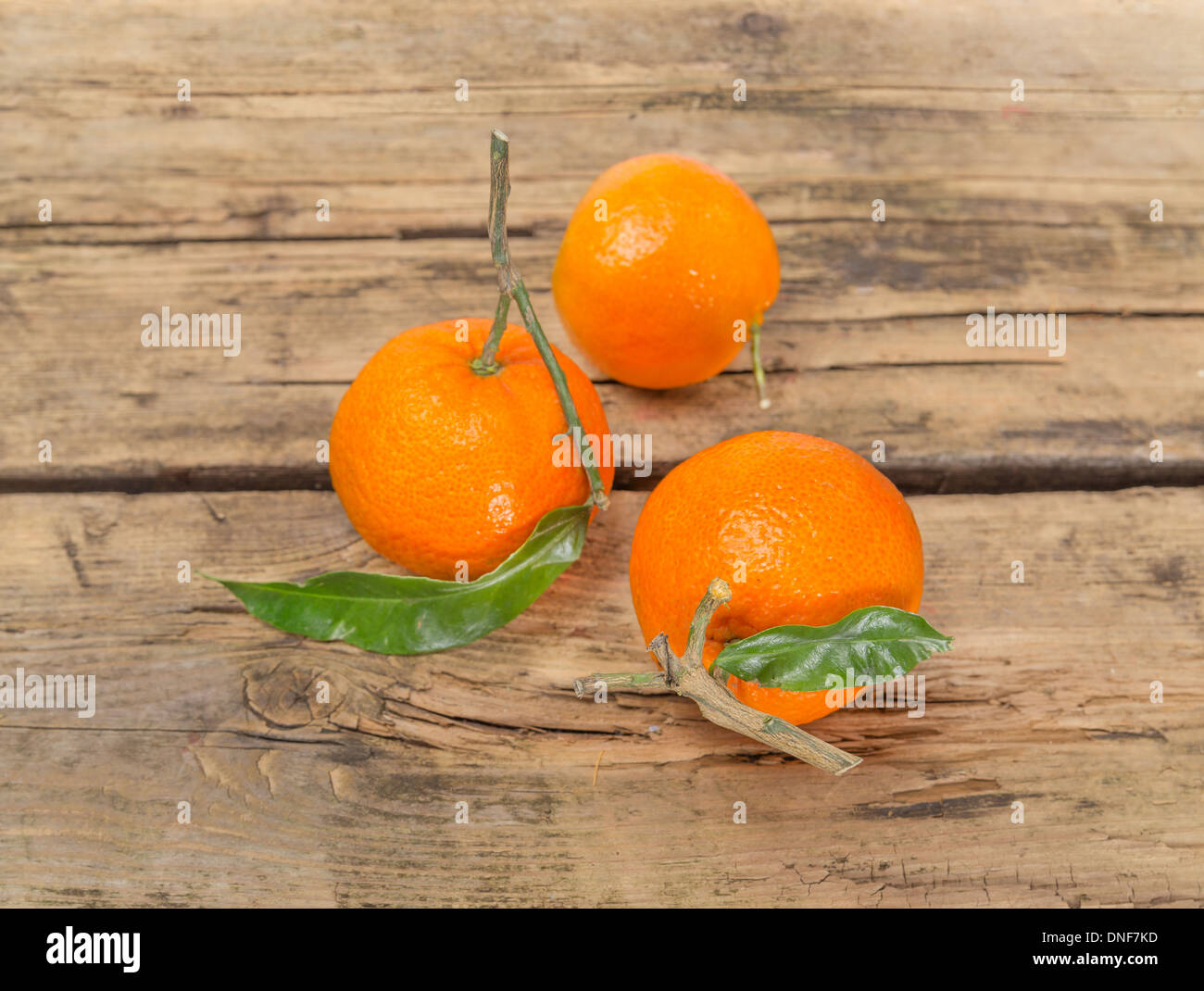 Tangerine fruit hi-res stock photography and images - Alamy