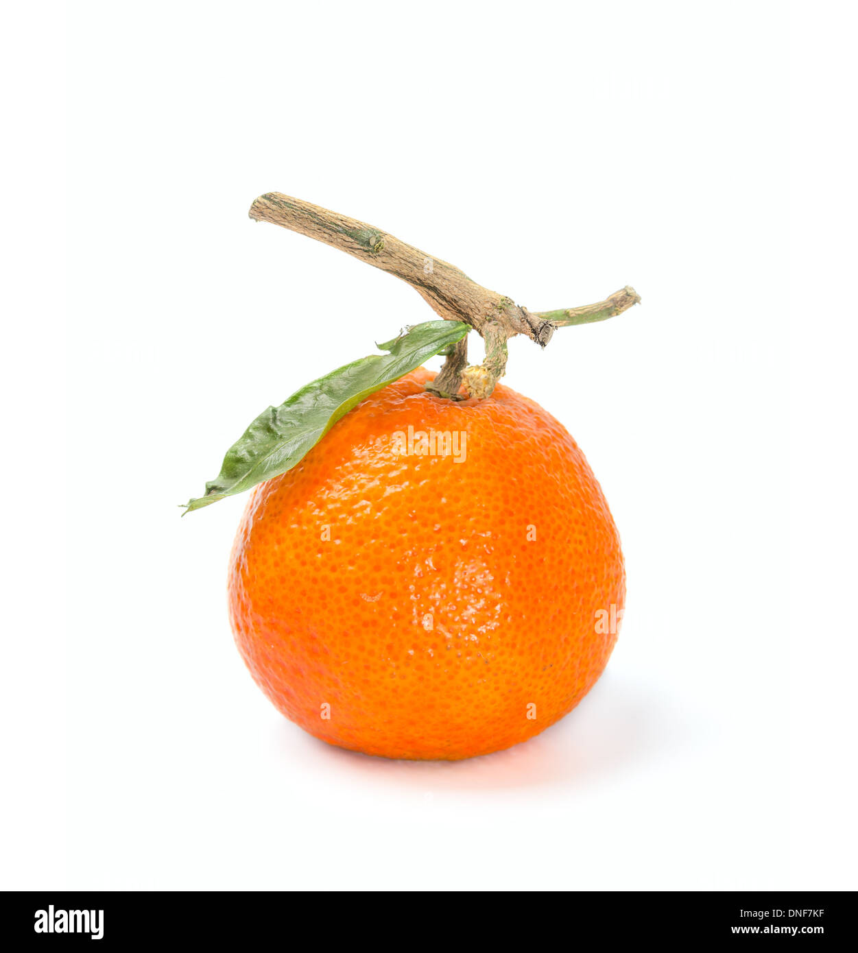 Tangerine fruit hi-res stock photography and images - Alamy
