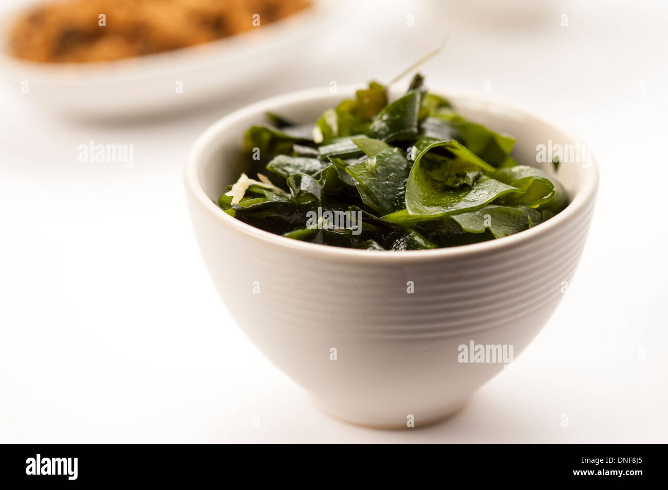 Photograph of seaweed hi-res stock photography and images - Alamy