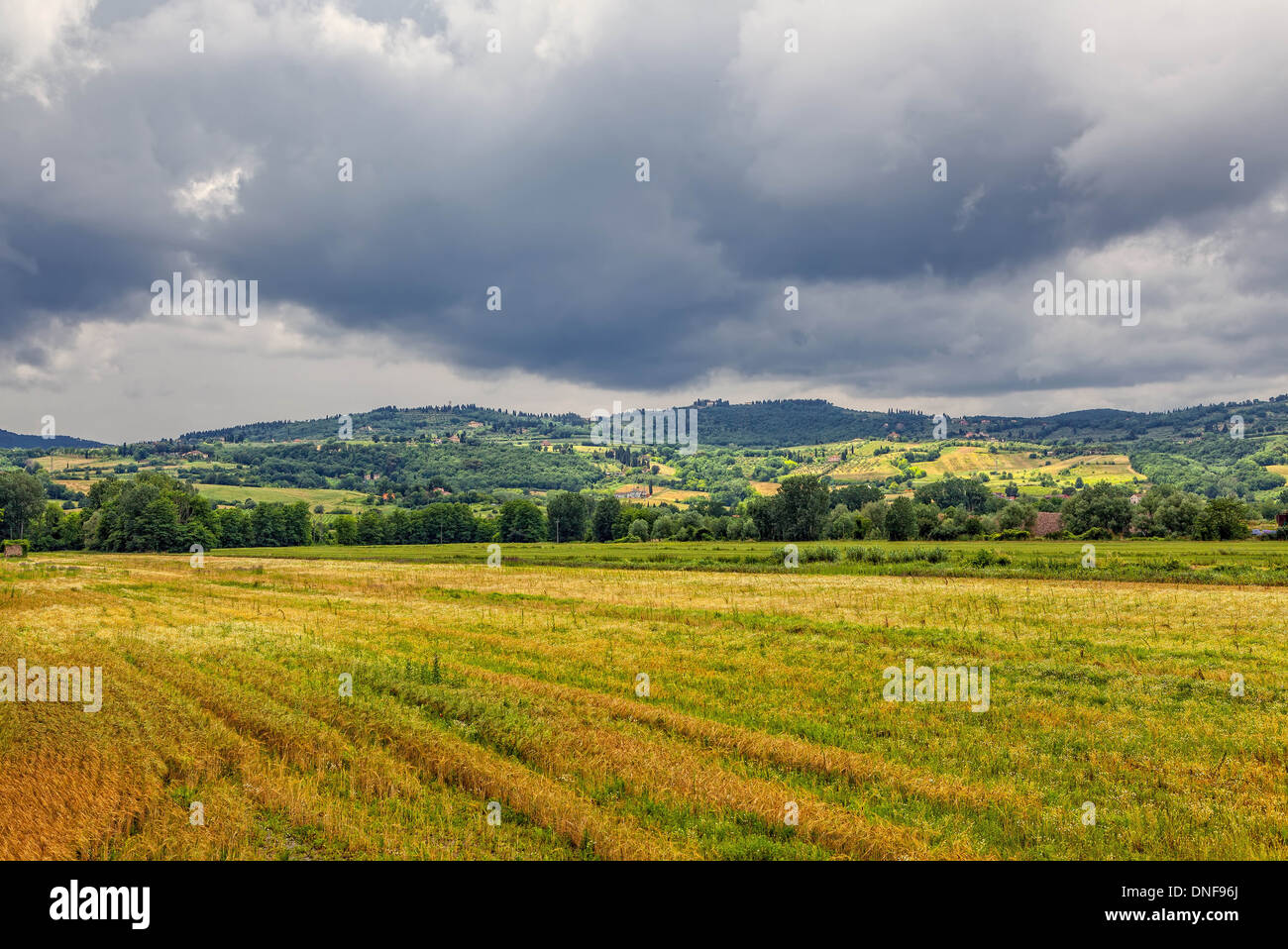The picturesque valley in Tuscany Stock Photo - Alamy