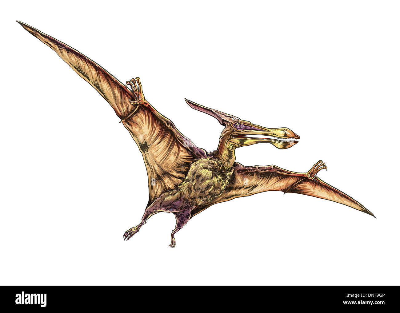 Dinosaur flying people hi-res stock photography and images - Alamy