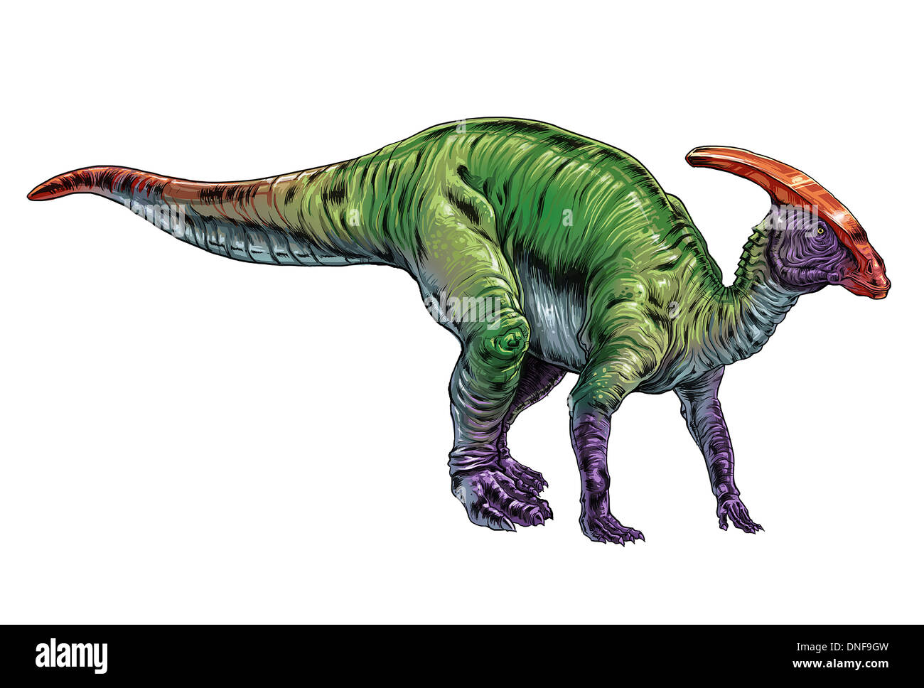 Dinosaur leg Cut Out Stock Images & Pictures - Alamy