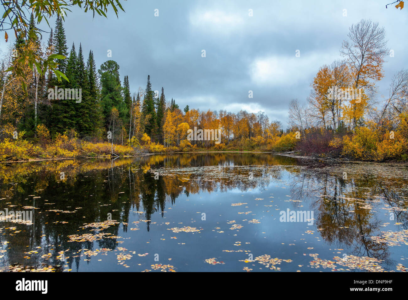 Autumn in Siberia Stock Photo - Alamy