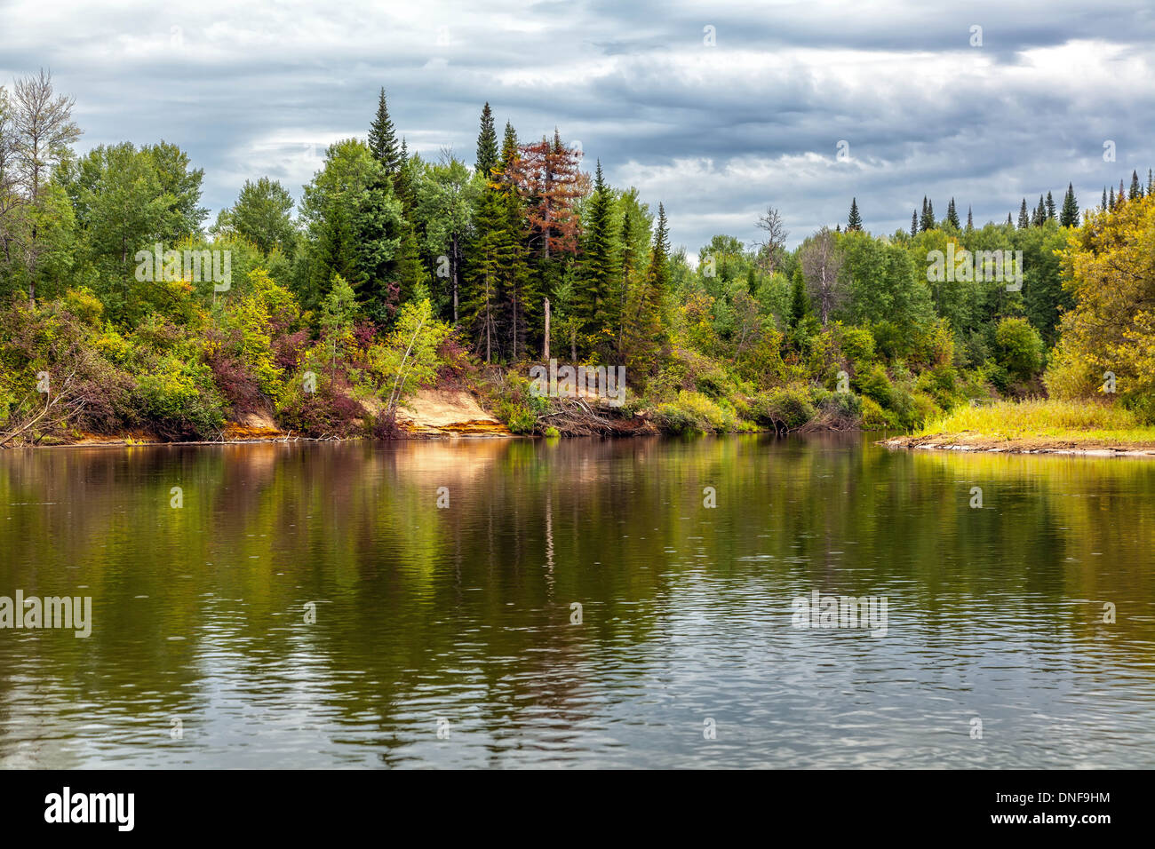 Siberian landscape with wilderness Stock Photo - Alamy