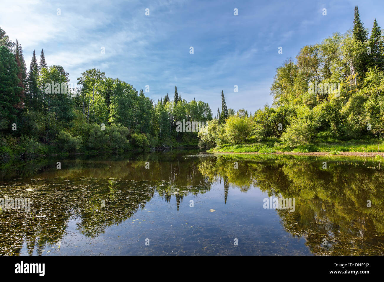 Siberian landscape with wilderness Stock Photo - Alamy