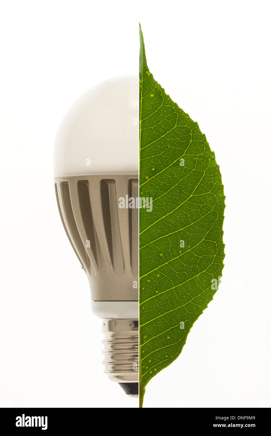 Light bulb and green leaf Stock Photo - Alamy