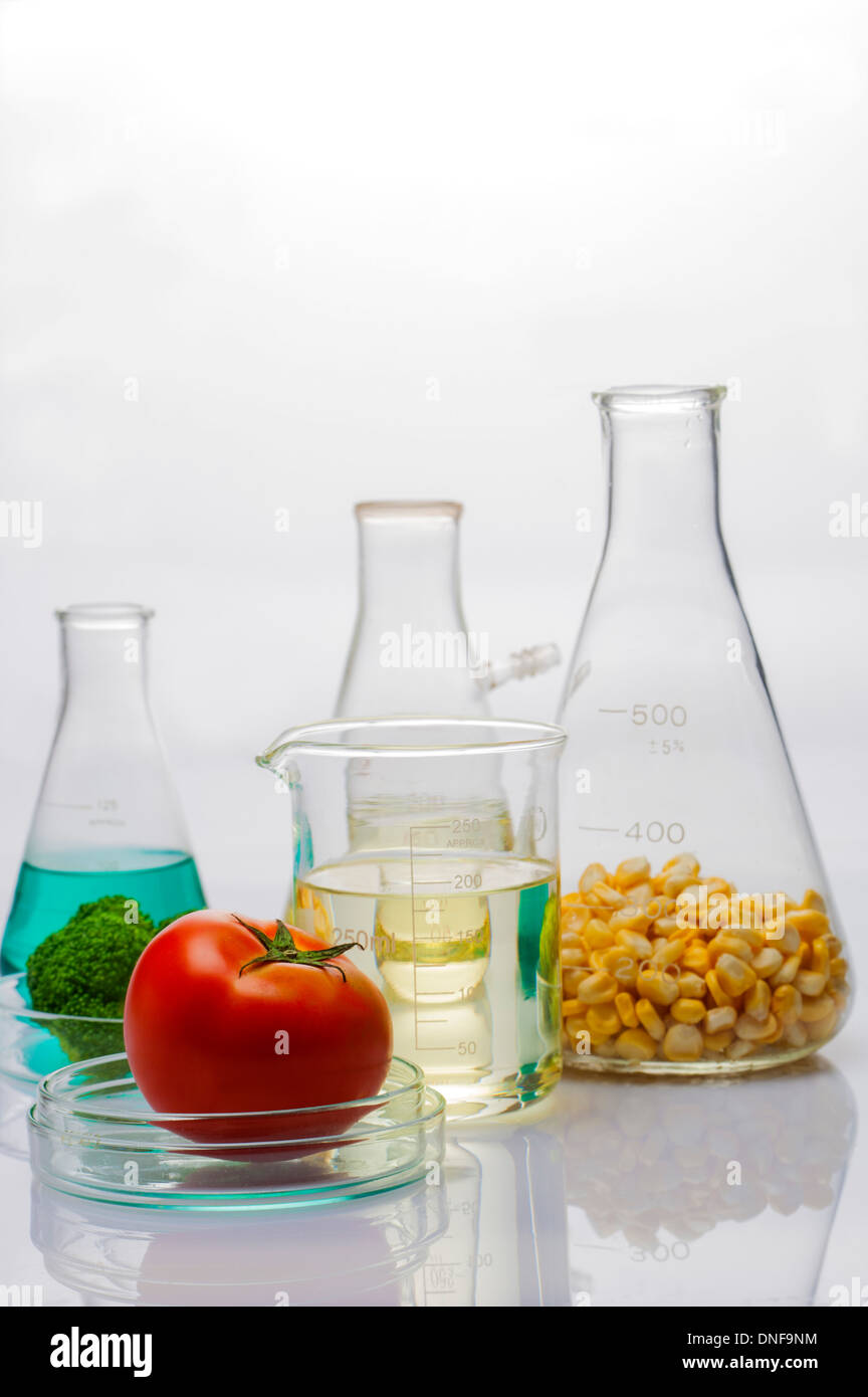 Vegetables in lab glasswares Stock Photo - Alamy