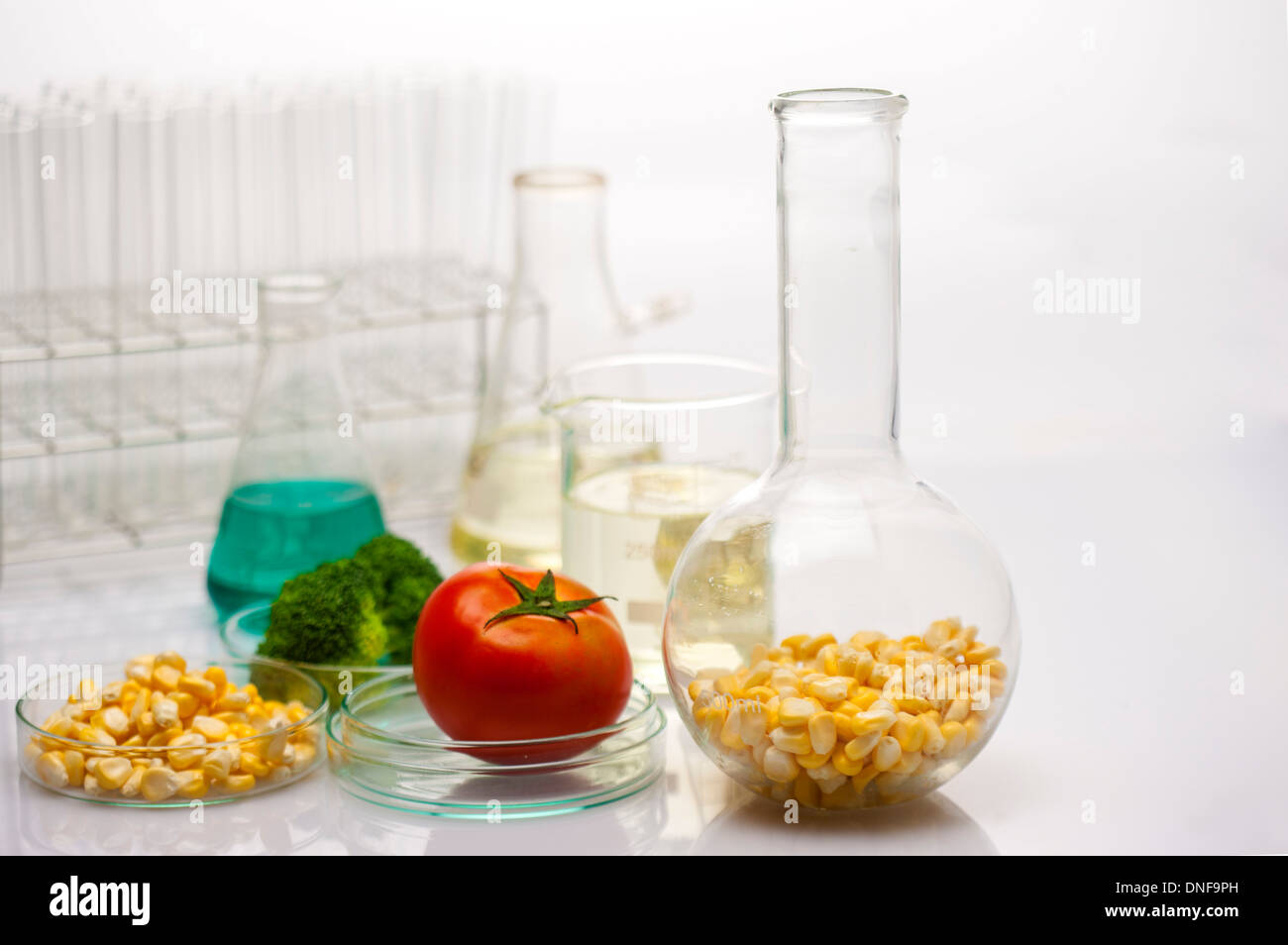 Vegetables in lab glasswares Stock Photo - Alamy