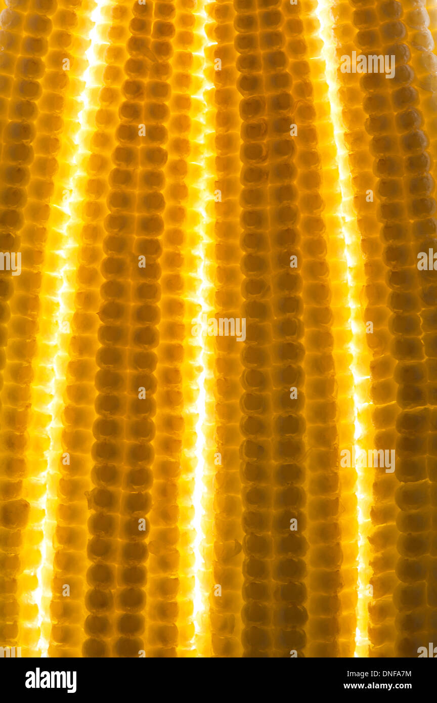 Baby Corn, Vegetable Stock Photo - Alamy