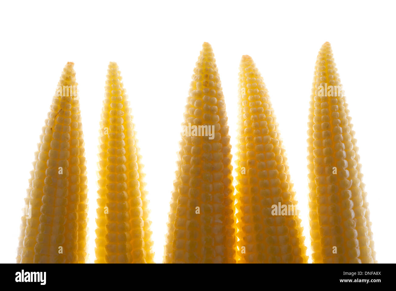 Baby Corn, Vegetable Stock Photo - Alamy