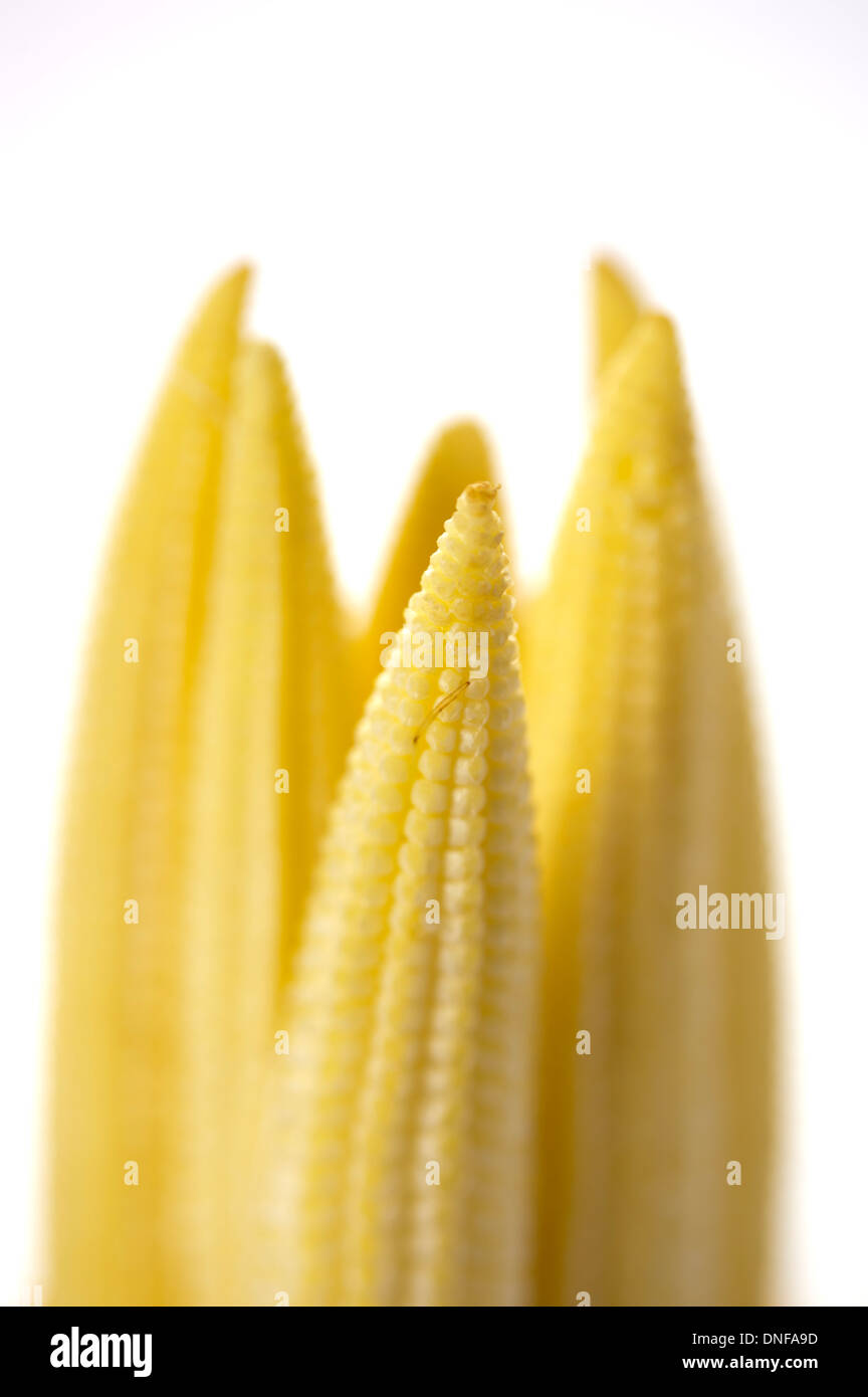 Baby Corn, Vegetable Stock Photo - Alamy
