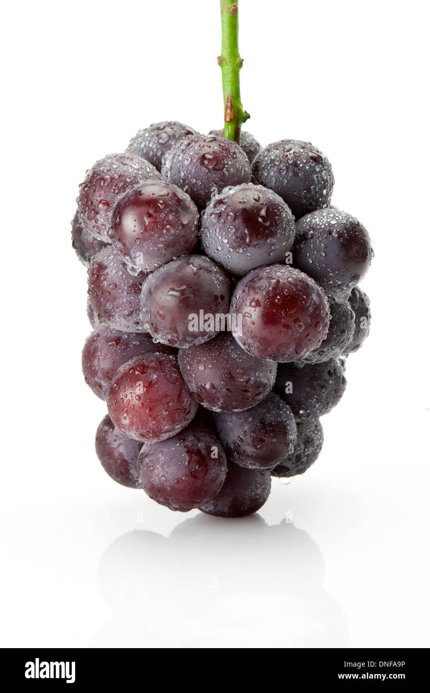 Grape fruit hi-res stock photography and images - Alamy