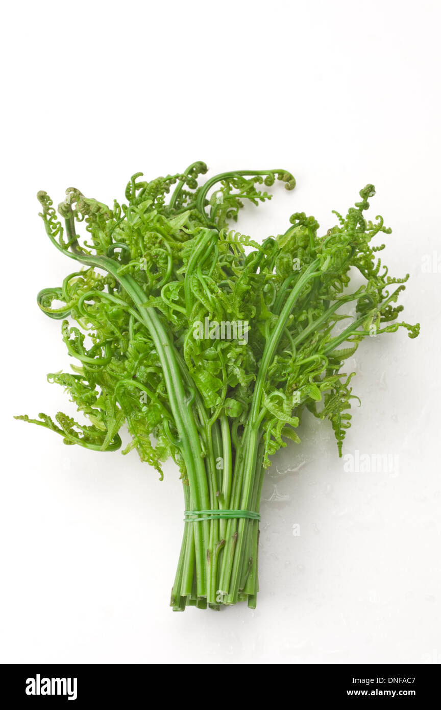 Doubleview Series High Resolution Stock Photography and Images - Alamy