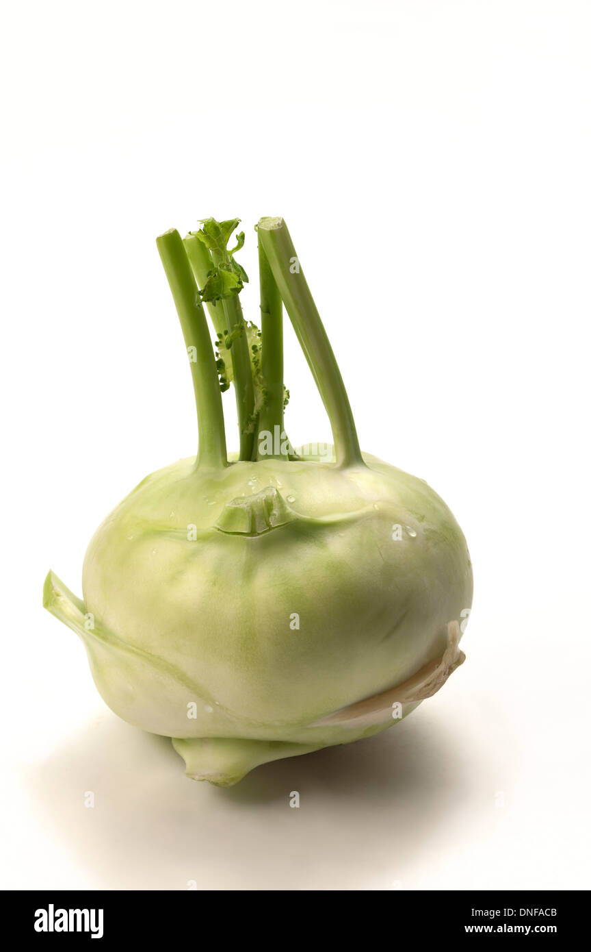 Turnip, Rutabaga, Vegetable Stock Photo - Alamy Turnip, Rutabaga, Vegetable Stock Photo - Alamy