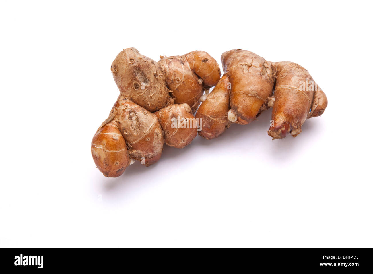 The ginger people Cut Out Stock Images & Pictures - Alamy