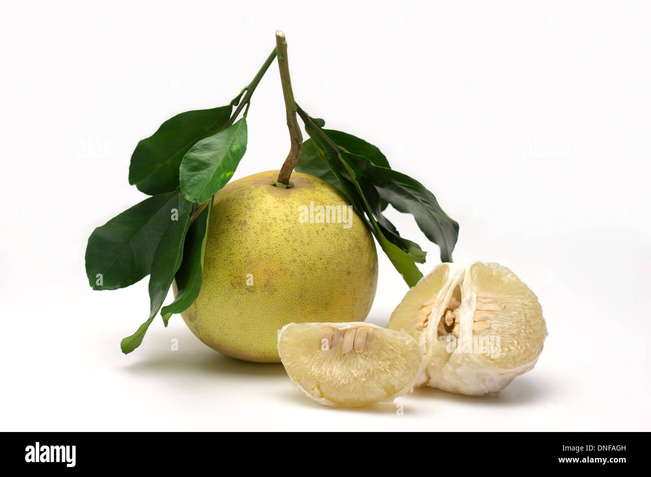 Fruit of pomelo Cut Out Stock Images & Pictures - Alamy