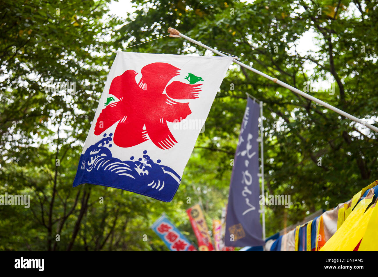Hokkaido, Japan, Asia, Ice, Flag Stock Photo - Alamy