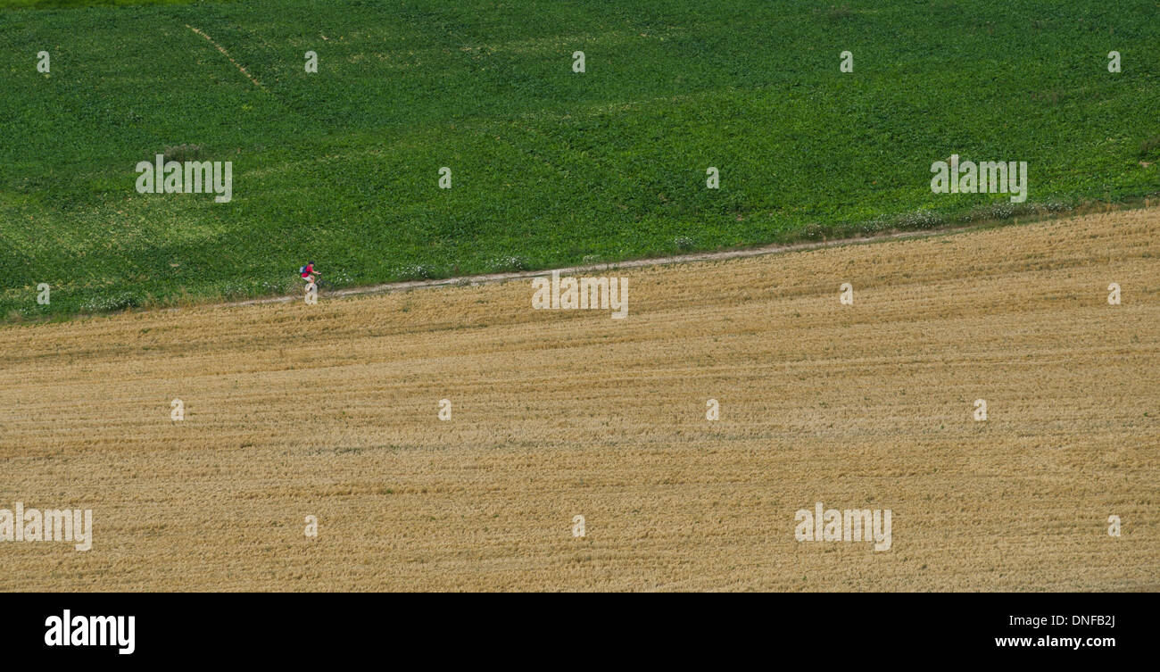 Unidentifiable man hi-res stock photography and images - Alamy