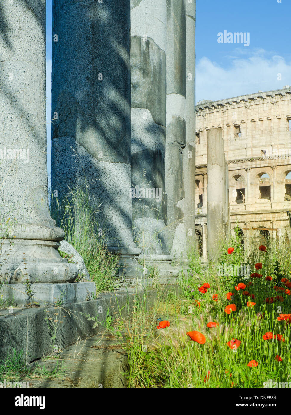 Colosseum column detail hi-res stock photography and images - Alamy