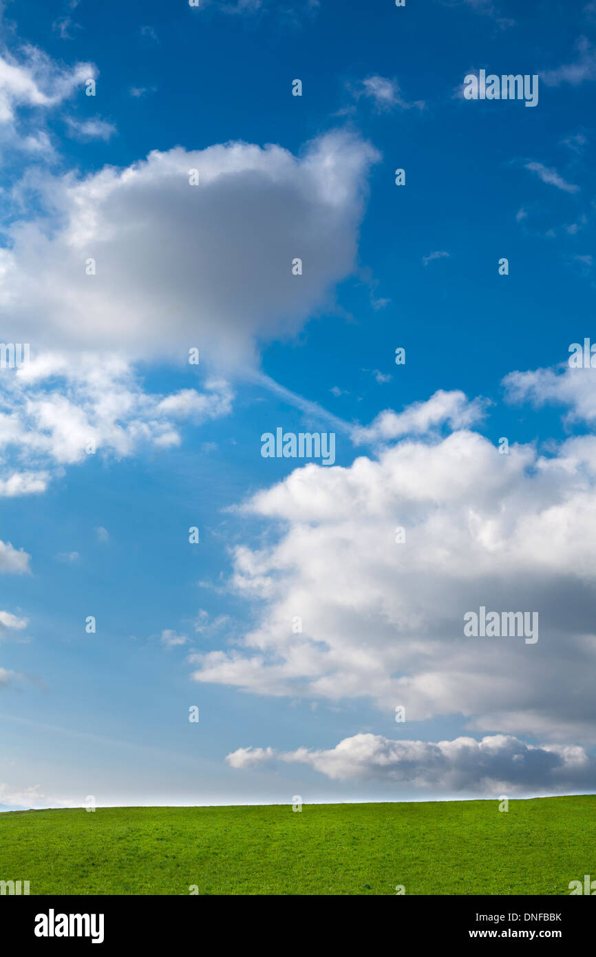 Open field horizon hi-res stock photography and images - Alamy