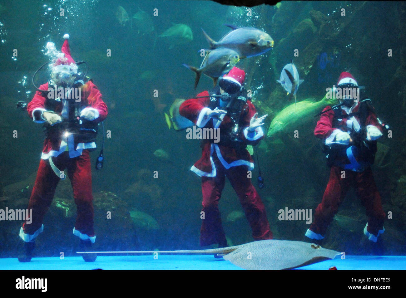 Jakarta, Indonesia. 25th Dec, 2013. Divers wearing Santa Claus costumes ...