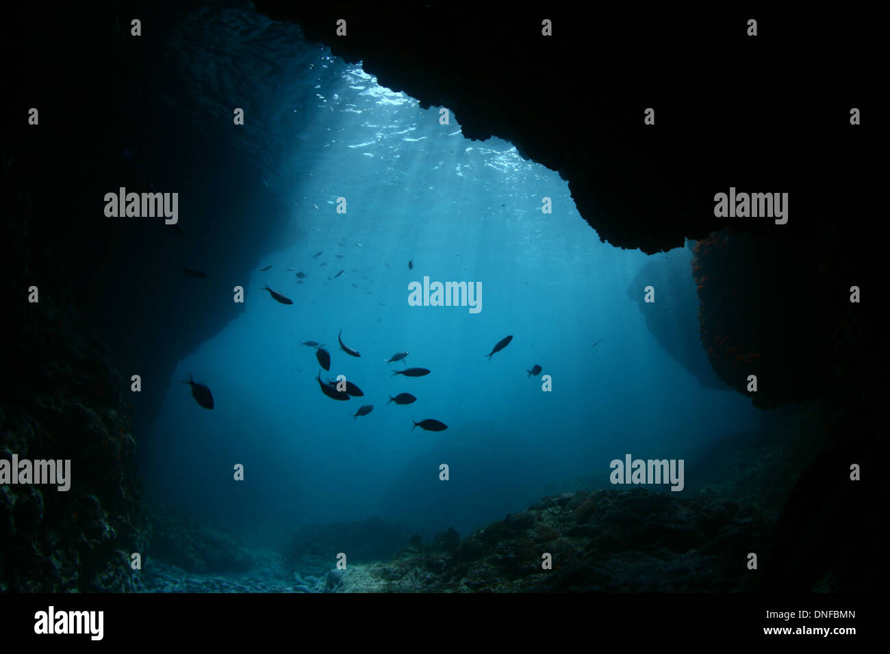 Underwater caves are beautiful places for diving Stock Photo - Alamy