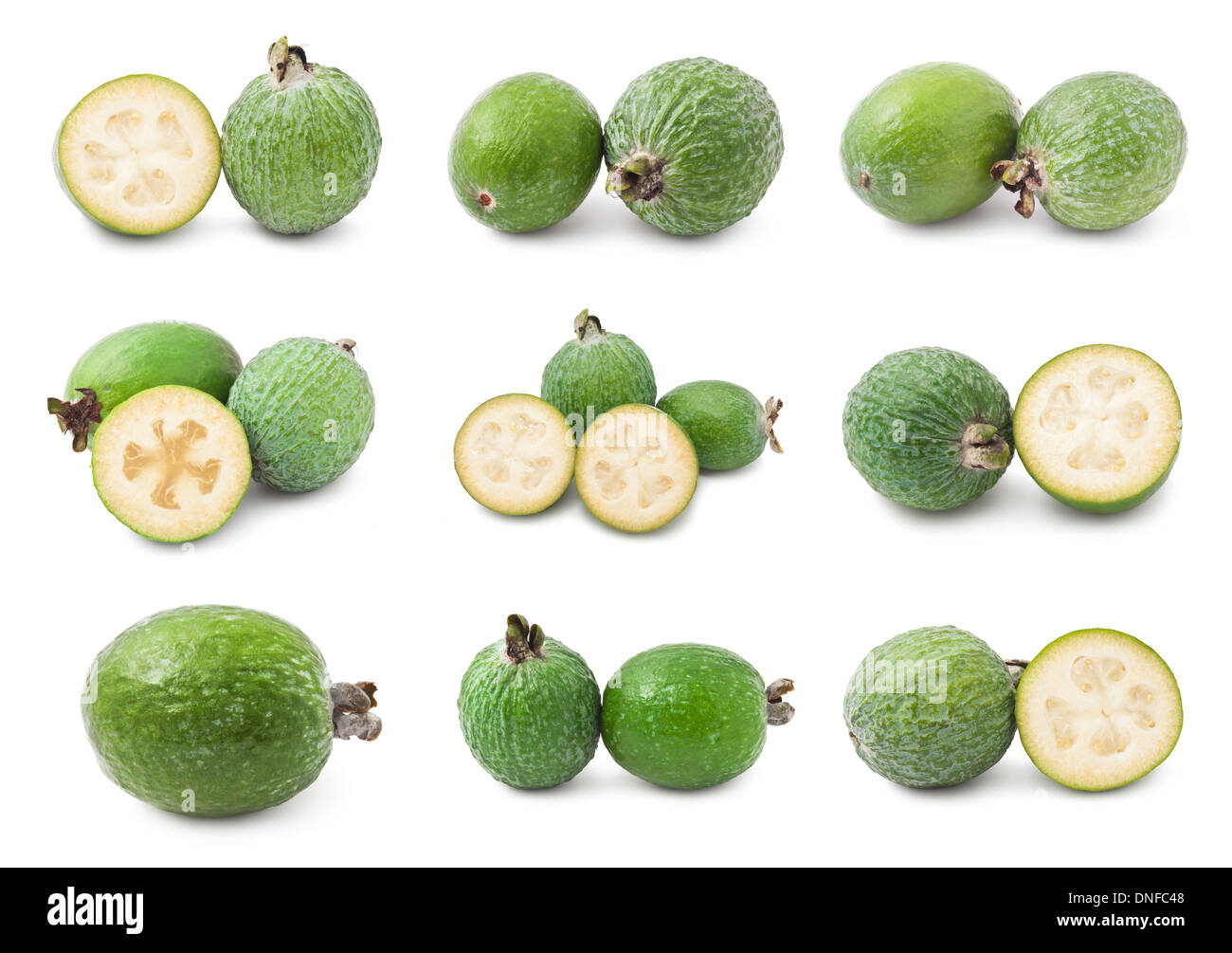 Feijoa hi-res stock photography and images - Alamy