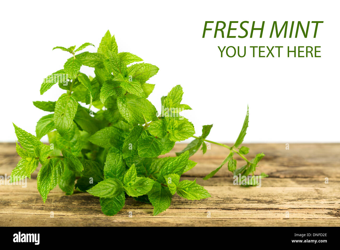 Mint and daisy flower Stock Photo - Alamy