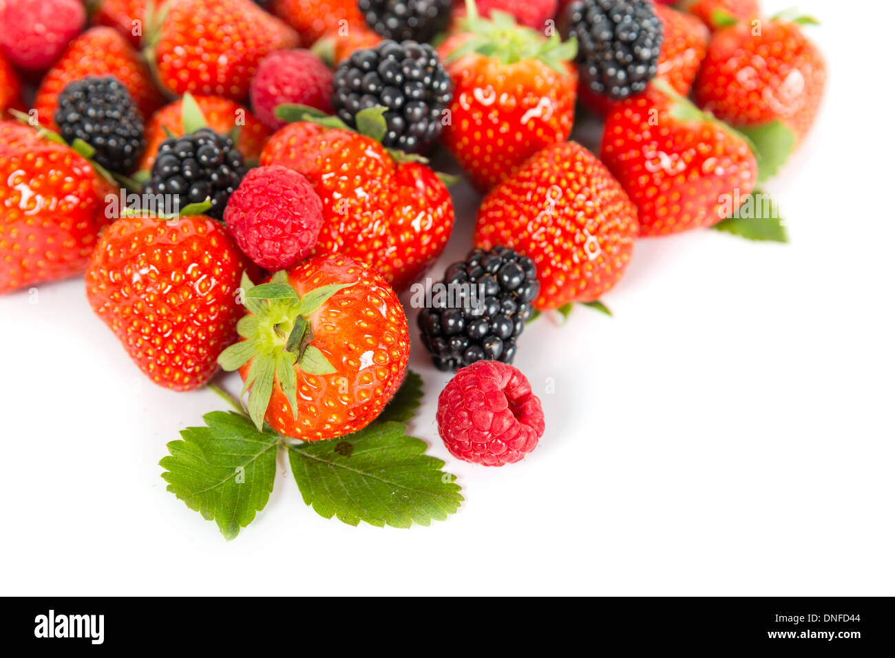 Blackberry crop hi-res stock photography and images - Alamy