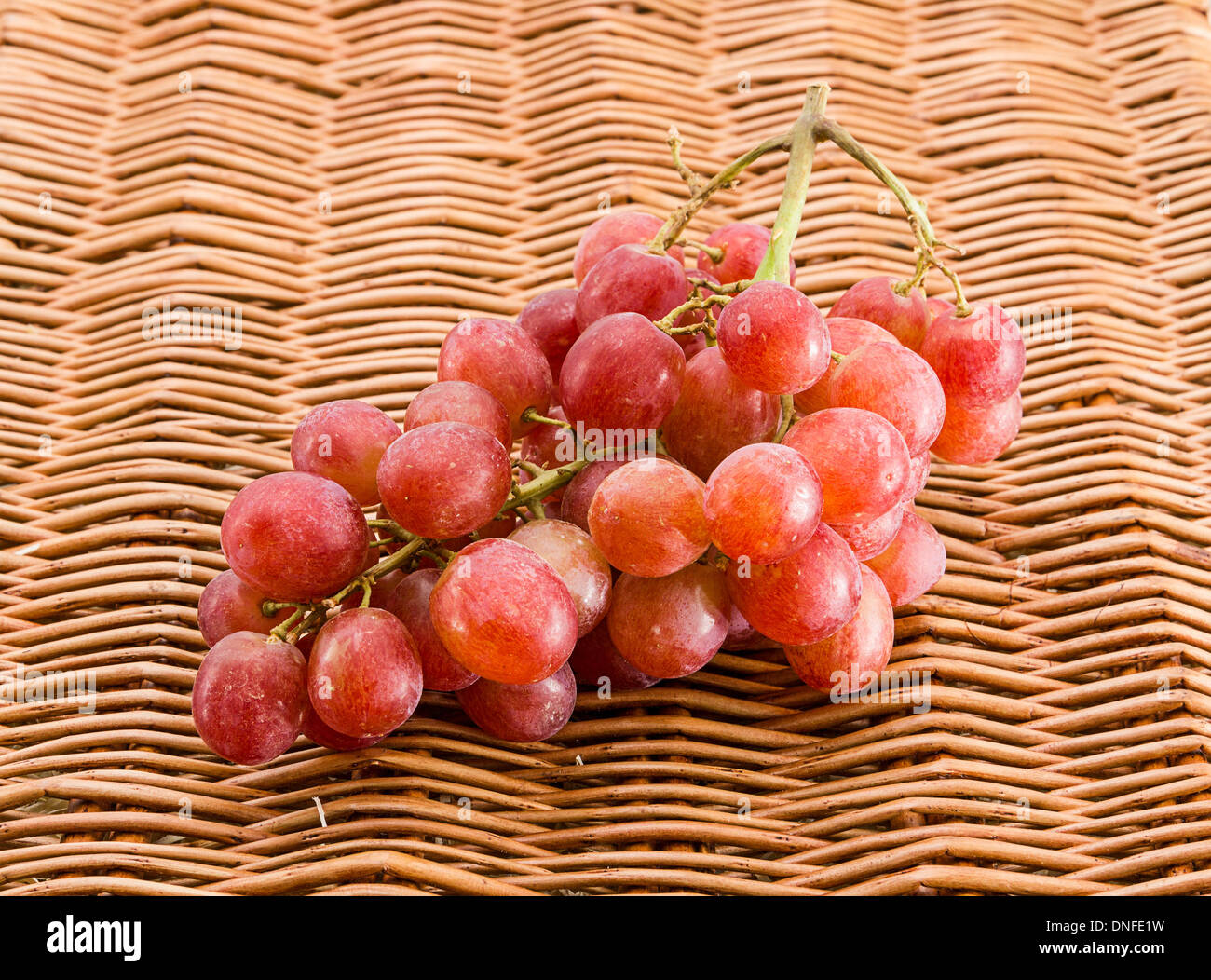 Grapes fruits isolated on hi-res stock photography and images - Alamy