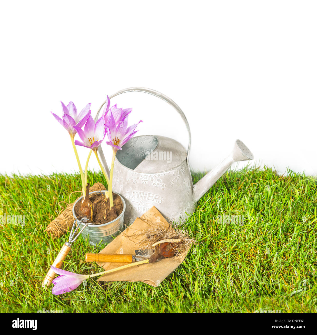 Lawn composition hi-res stock photography and images - Alamy
