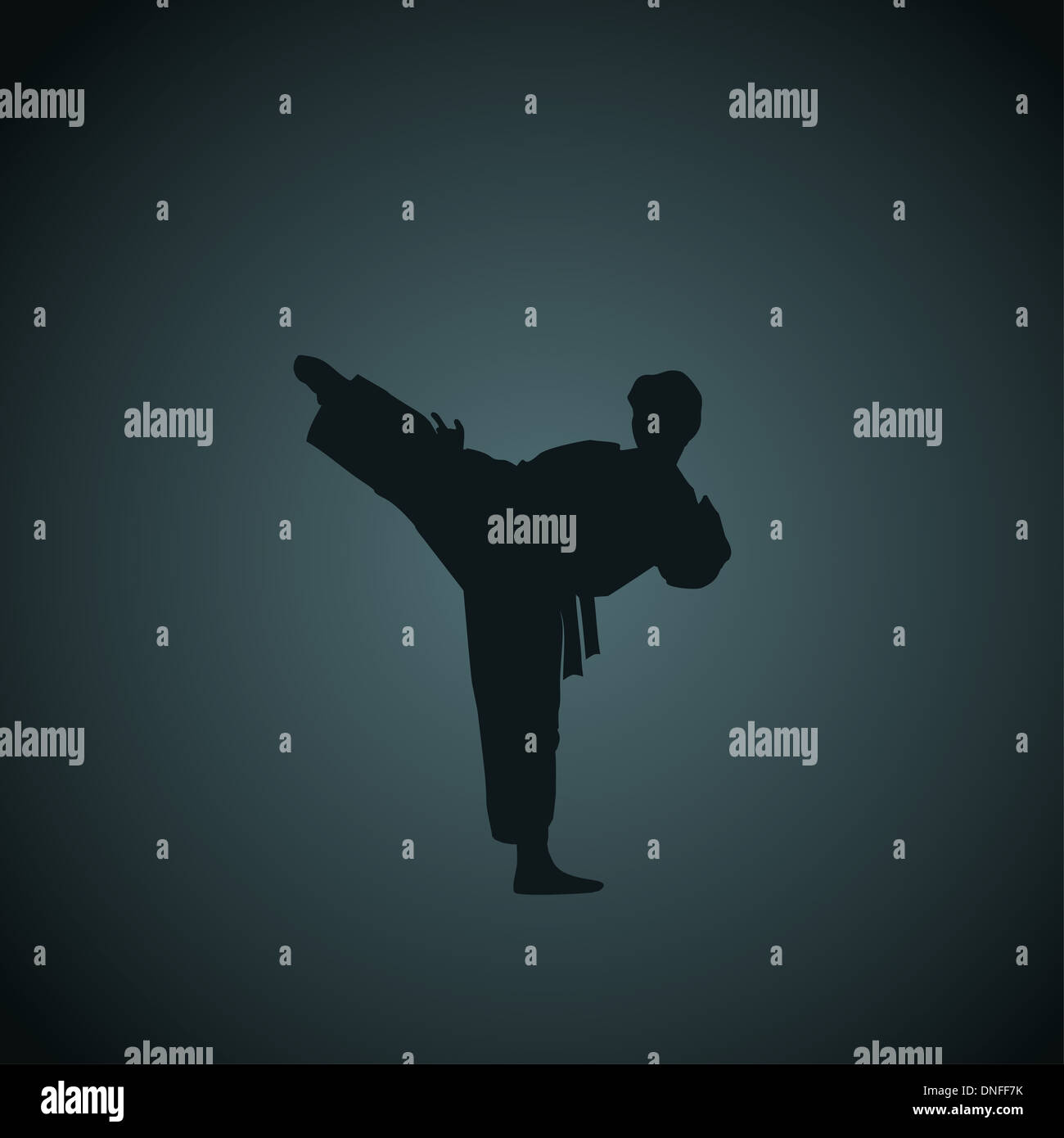 The man engaged in the karate on dark a blue background Stock Photo - Alamy