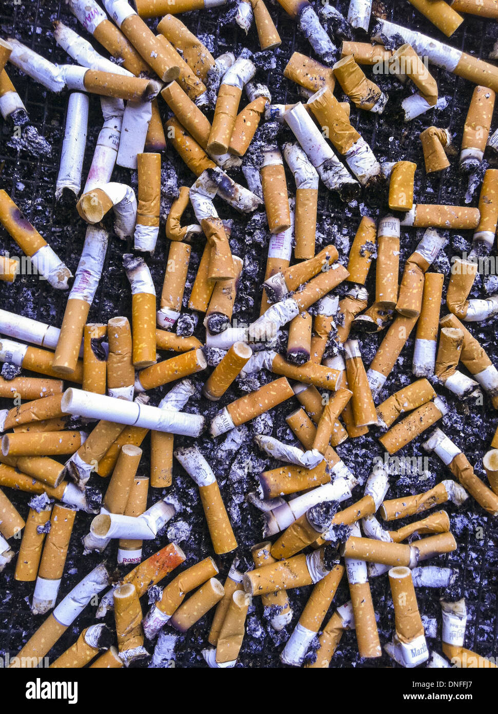 Cigarette Plant High Resolution Stock Photography and Images - Alamy