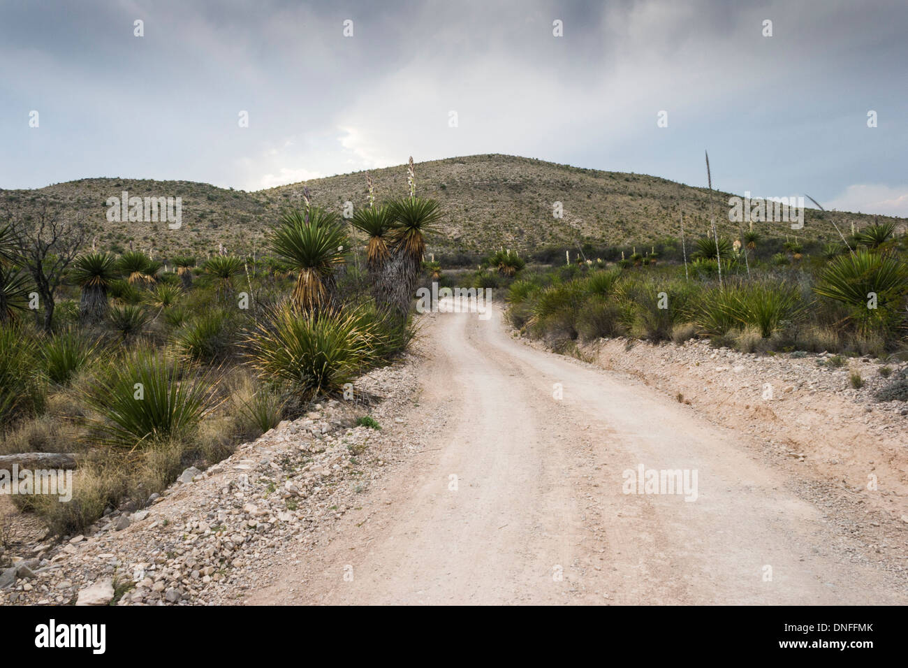 Dagger flats road hi-res stock photography and images - Alamy