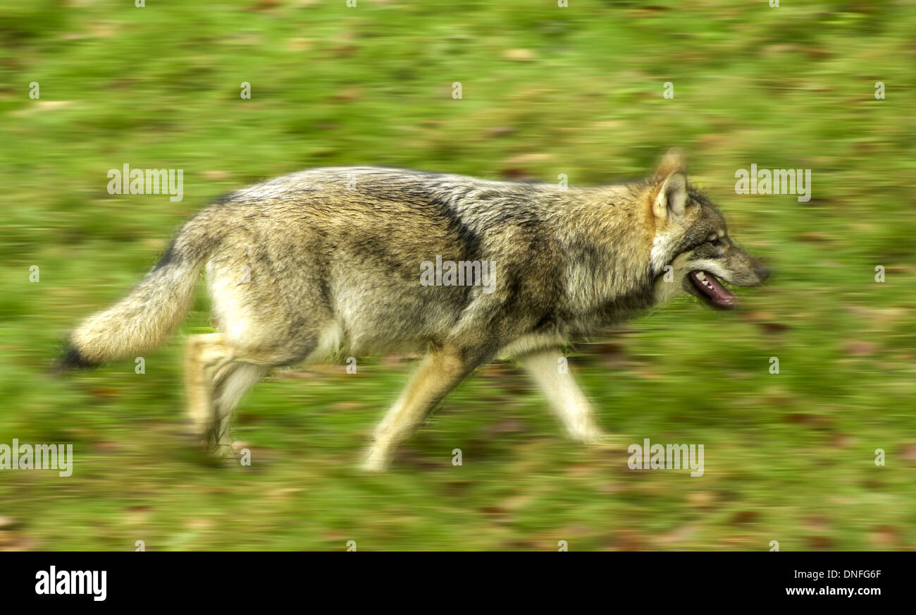 Kingdom Bavaria High Resolution Stock Photography and Images - Alamy