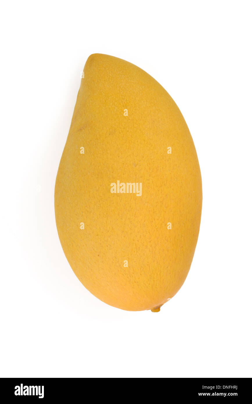 Mango isolated on white Stock Photo - Alamy