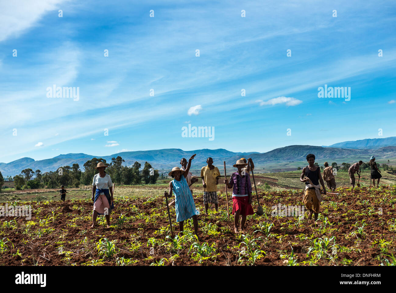 Agriculture madagascar plowing hi-res stock photography and images - Alamy